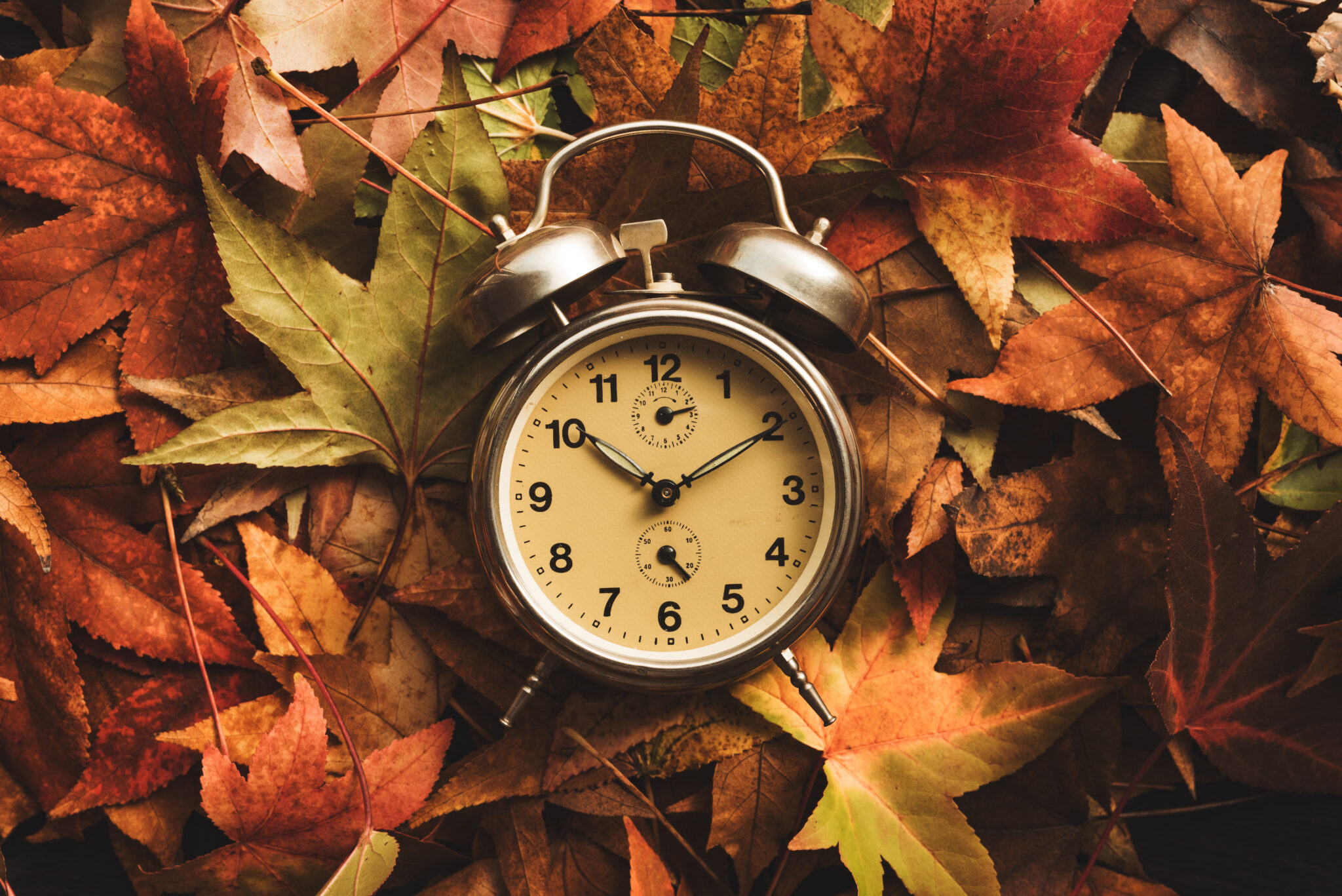 The Fall-Back Blues: How Daylight Savings Ending Can Impact Seasonal ...